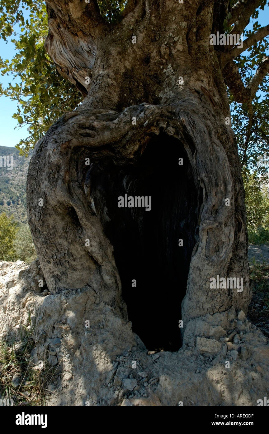 Mouth talking side hi-res stock photography and images - Alamy