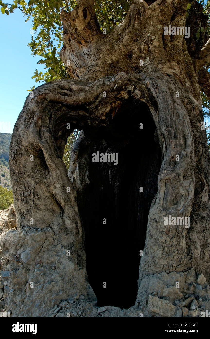 Adl1077 hi-res stock photography and images - Alamy