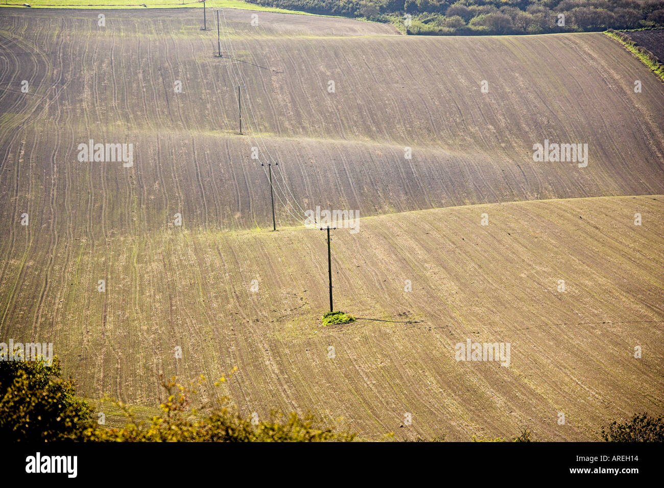 Telegraph lines hi-res stock photography and images - Alamy
