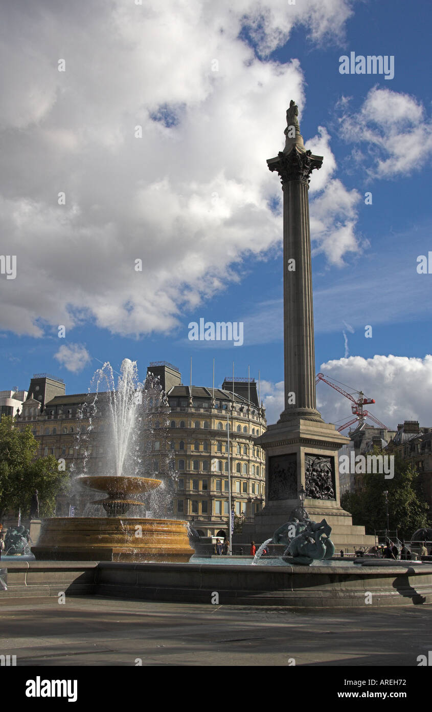 Nelson statue pigeon hi-res stock photography and images - Alamy