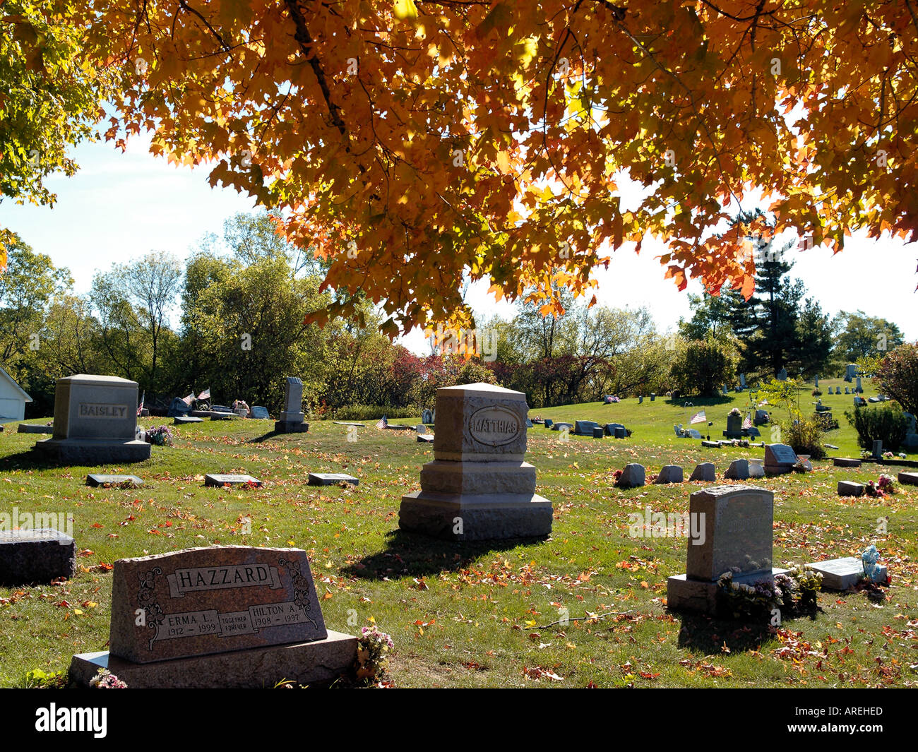 Large diciduous trees in fall color in a rural midwestern cemetary ...