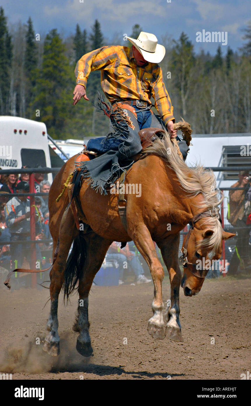 Western power robert hi-res stock photography and images - Alamy