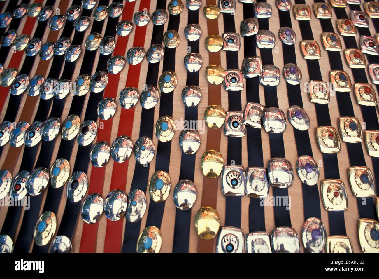 Conchol hi-res stock photography and images - Alamy