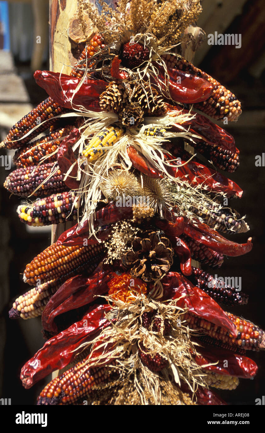 Indian corn united states hi-res stock photography and images - Alamy