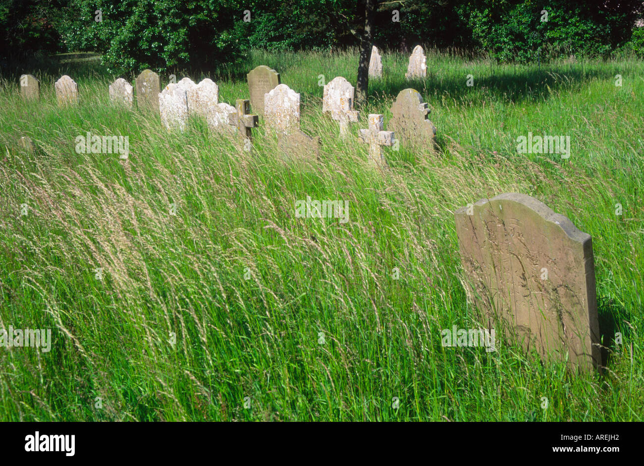 Country churchyard with grave headstones and long overgrown grass ...