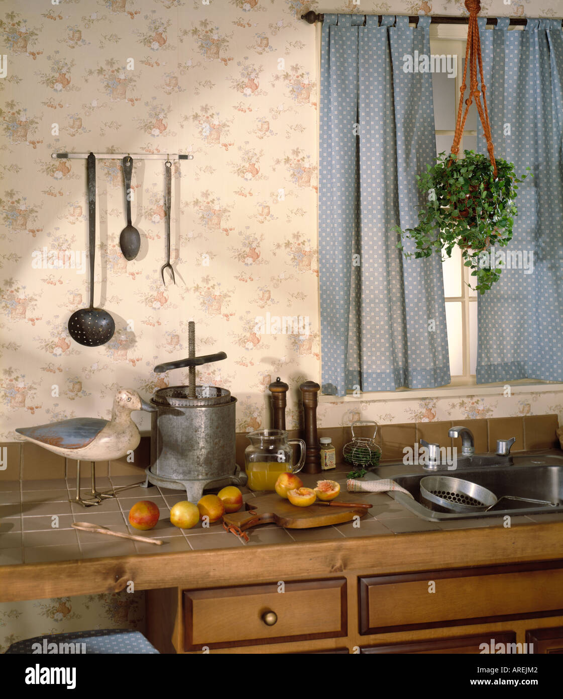 room interior kitchen counter food Stock Photo - Alamy