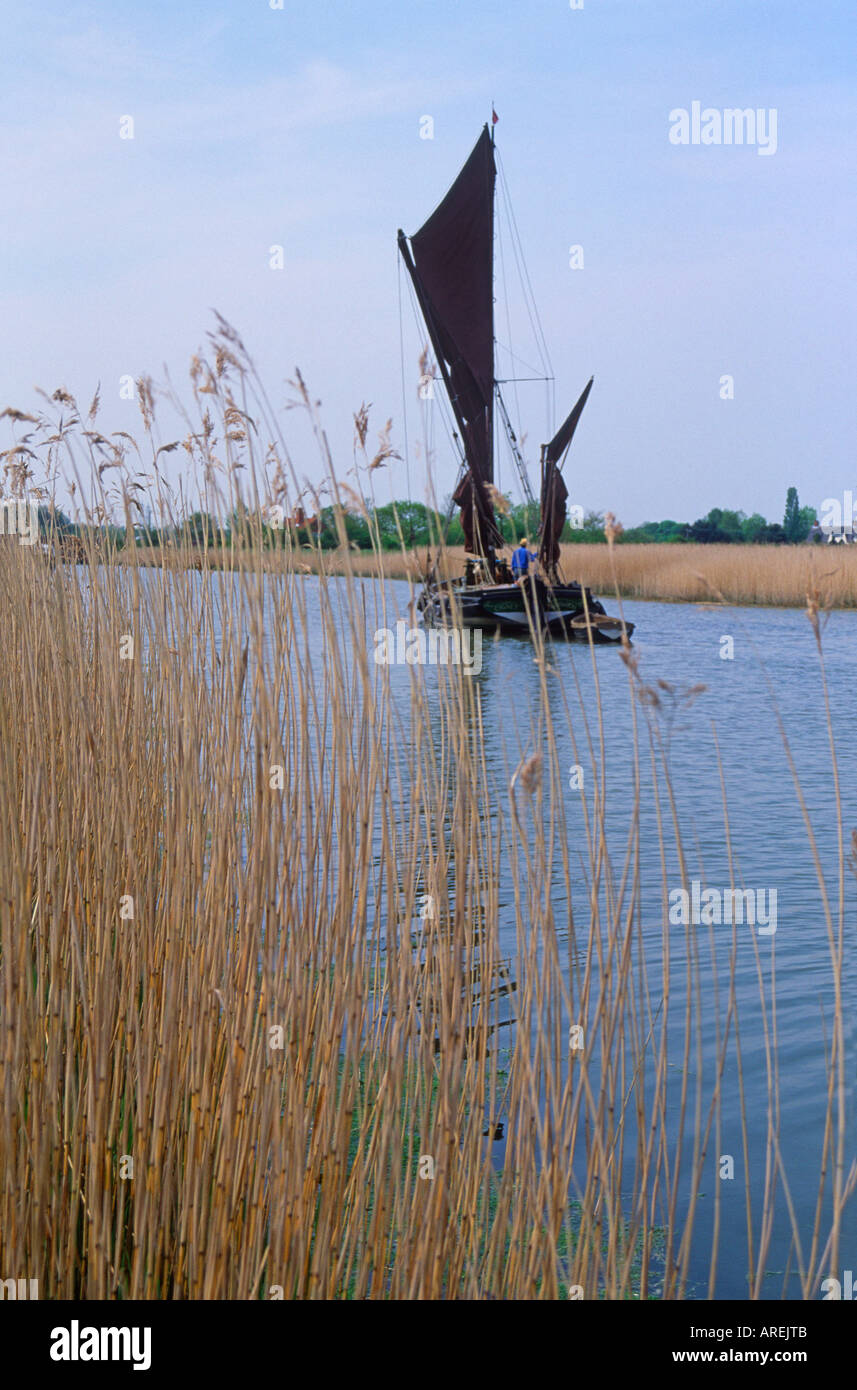 Sailing barge Cygnet River Alde Snape Suffolk England Stock Photo - Alamy