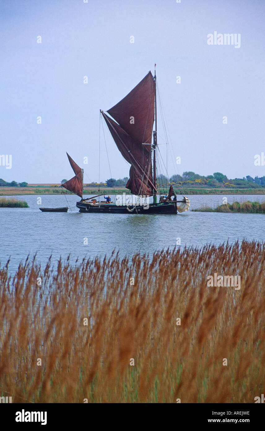Cygnet historic sailing barge snape hi-res stock photography and images ...