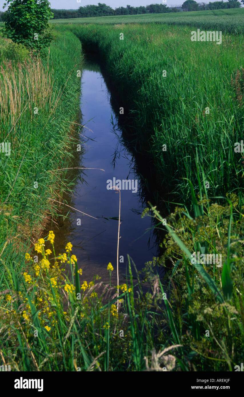 Drainage ditch by the edge of a field butley hi-res stock photography ...