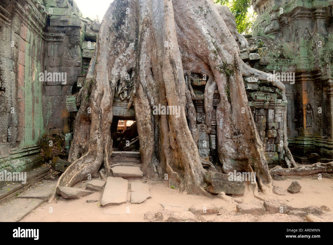 Ta Prohm, Angkor, Cambodia Stock Photo - Alamy