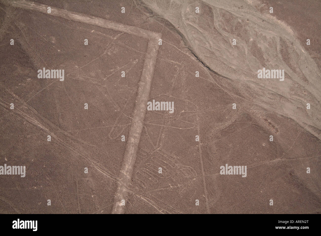 Whale outline Nazca Lines Peru Stock Photo - Alamy