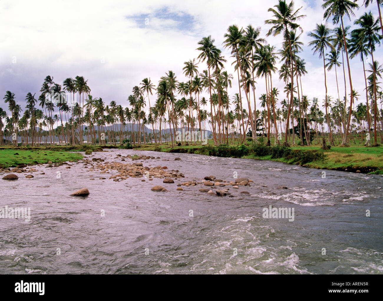 Palm Trees and river Fiji Stock Photo - Alamy