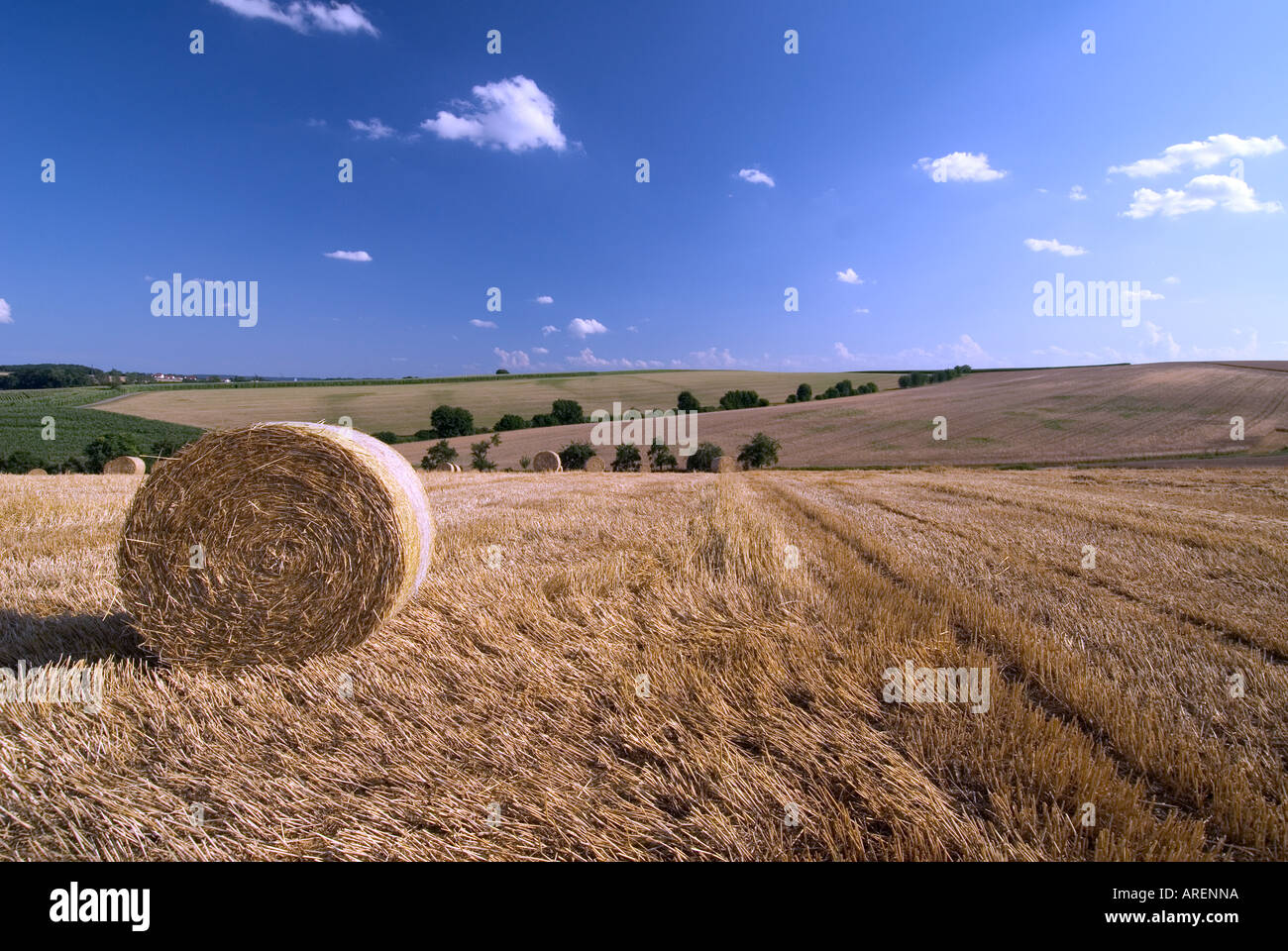 Hale farm hi-res stock photography and images - Alamy