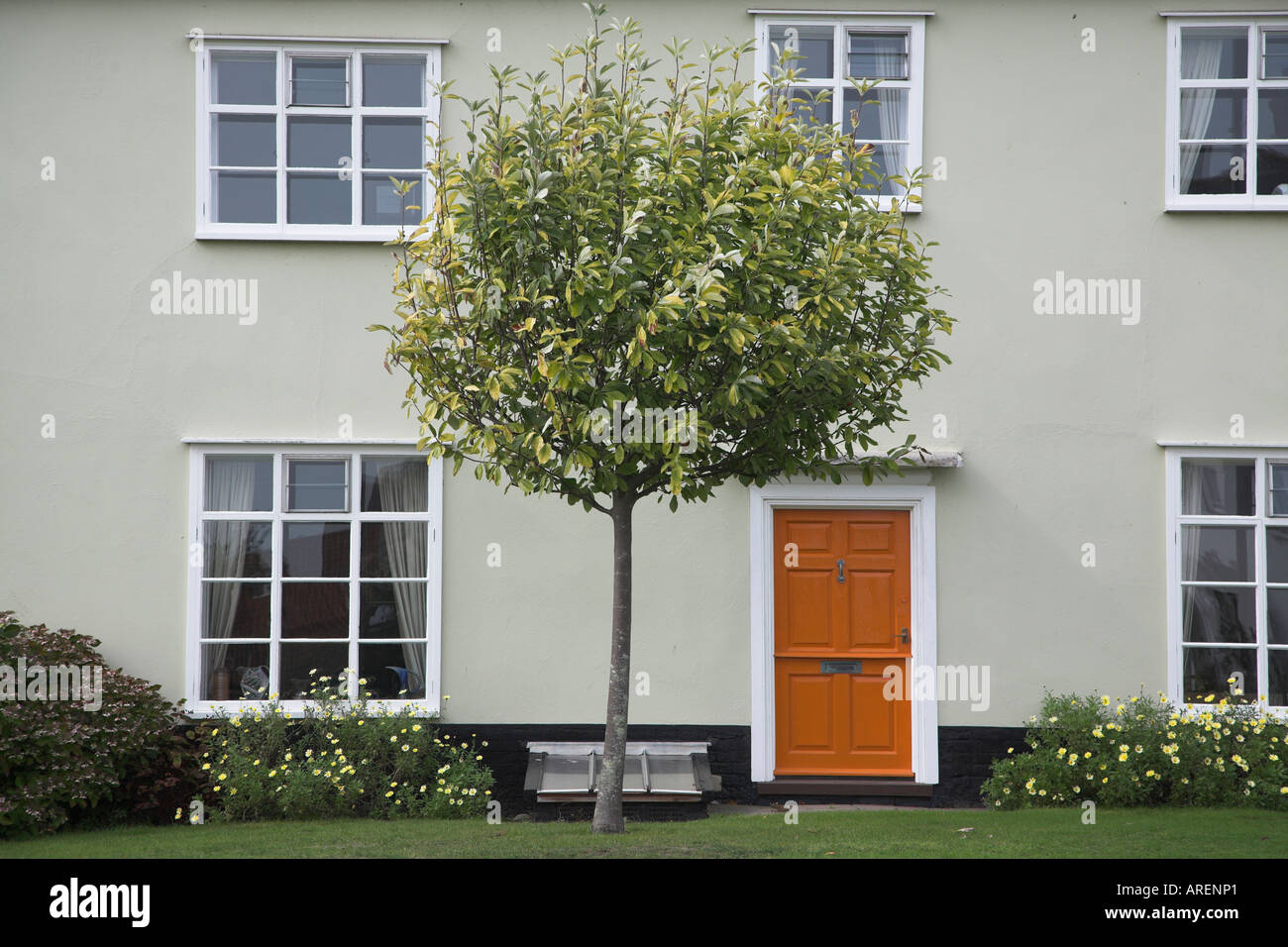 House village green tree hi-res stock photography and images - Alamy