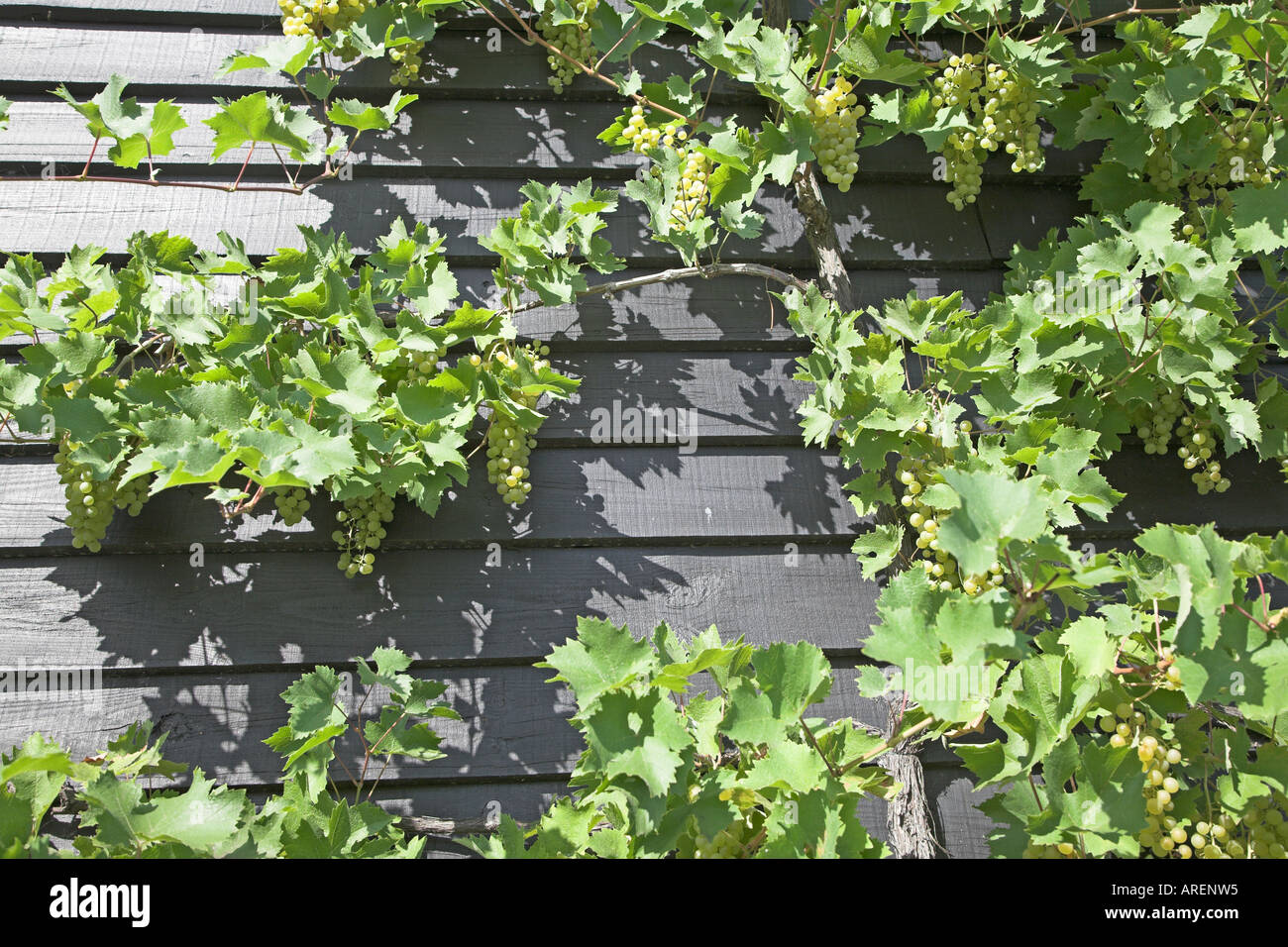 Shawsgate hi-res stock photography and images - Alamy