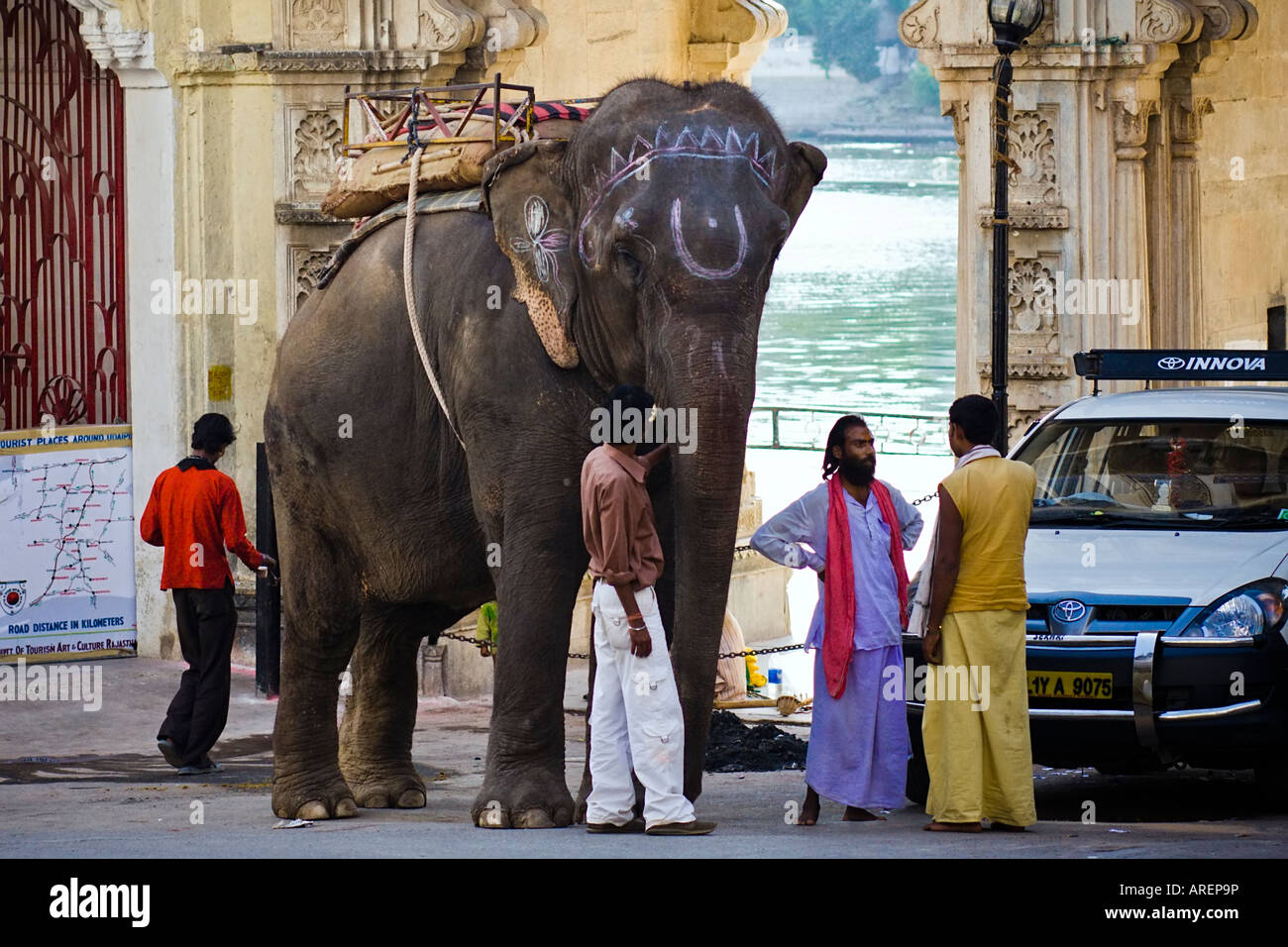 An elephant standing in the street - Udaipur, Rajasthan, India Stock ...