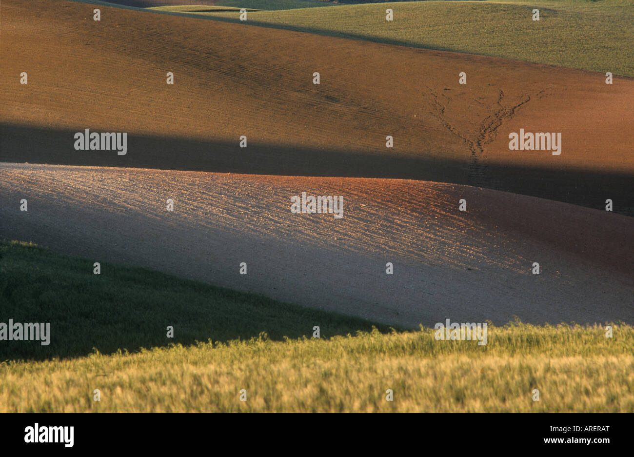 Al andalus agriculture hi-res stock photography and images - Alamy