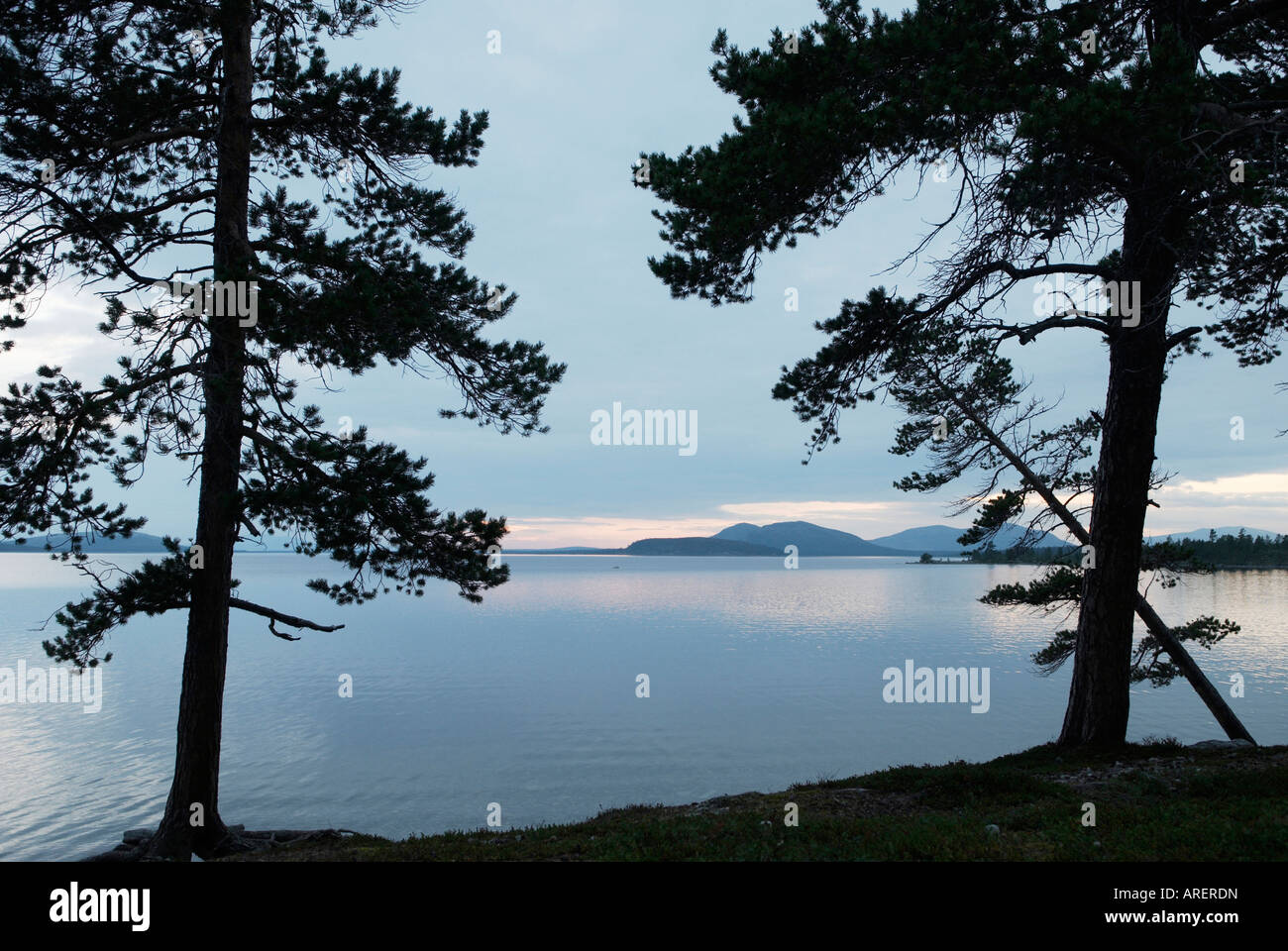 Waterfront of Lake Rogen with two trees in the Rogen National Park ...