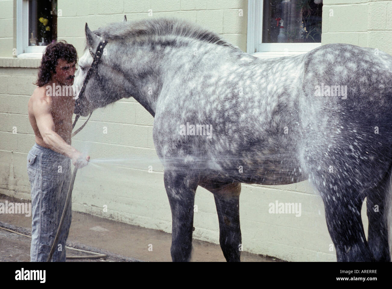 Cossack rider hi-res stock photography and images - Alamy