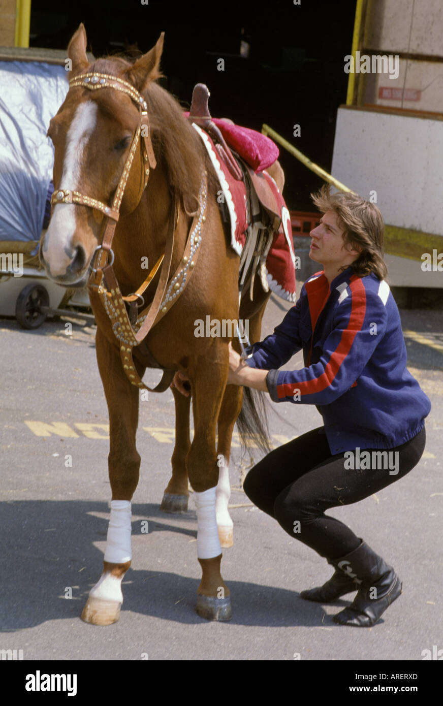 Russian Cossack horseman rider prepares saddle Stock Photo - Alamy