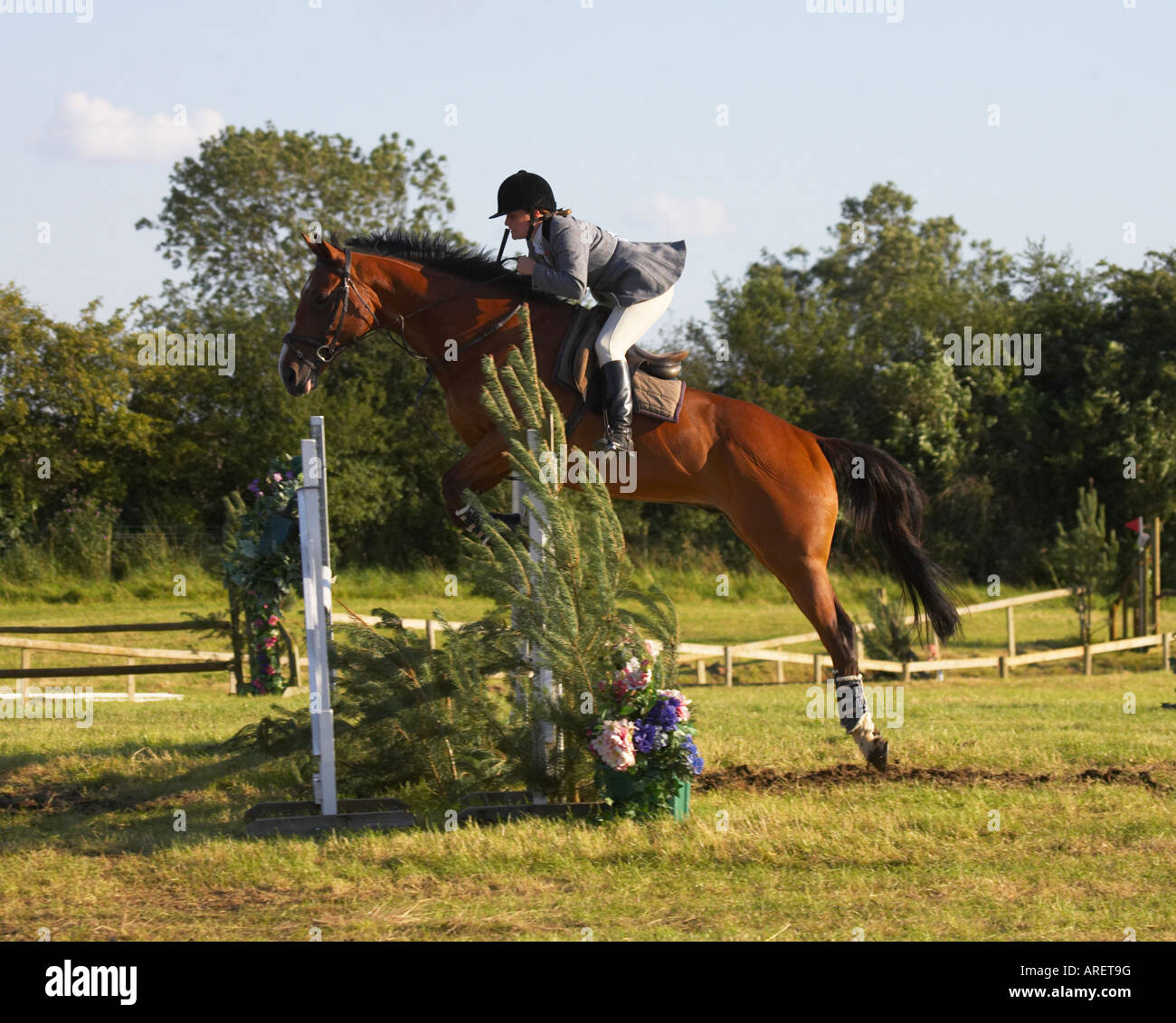 Horse riding competitor Stock Photo - Alamy