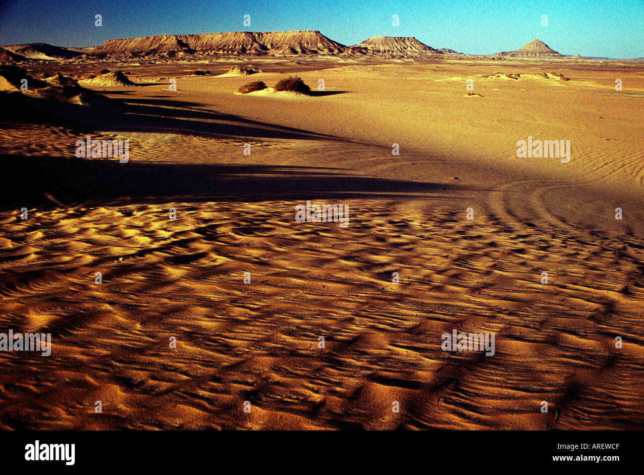 The vast landscape of the Western Egyptian Desert, Egypt Stock Photo ...