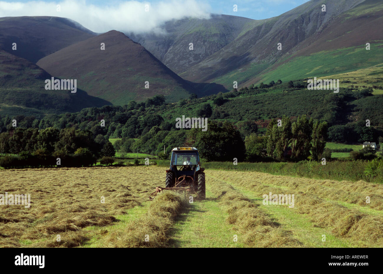 Farmer rowing up hay in preperation for baling Keswick Cumbria Stock ...