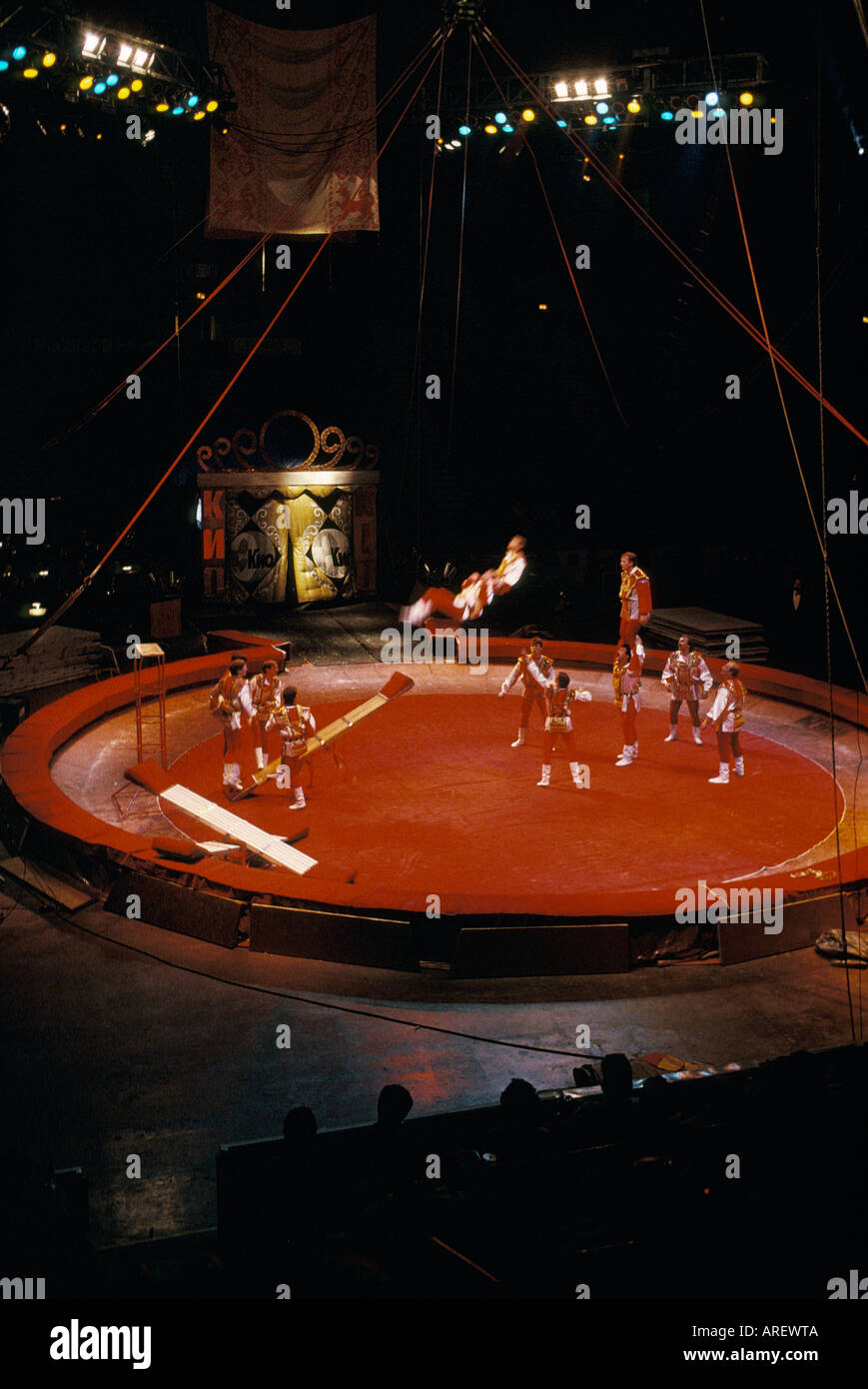 Animal acrobats hi-res stock photography and images - Alamy