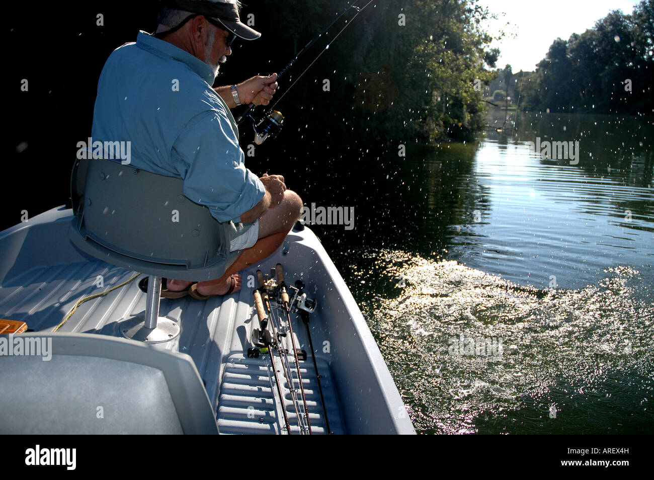 Bass angler fights fish in lake from boat Stock Photo - Alamy