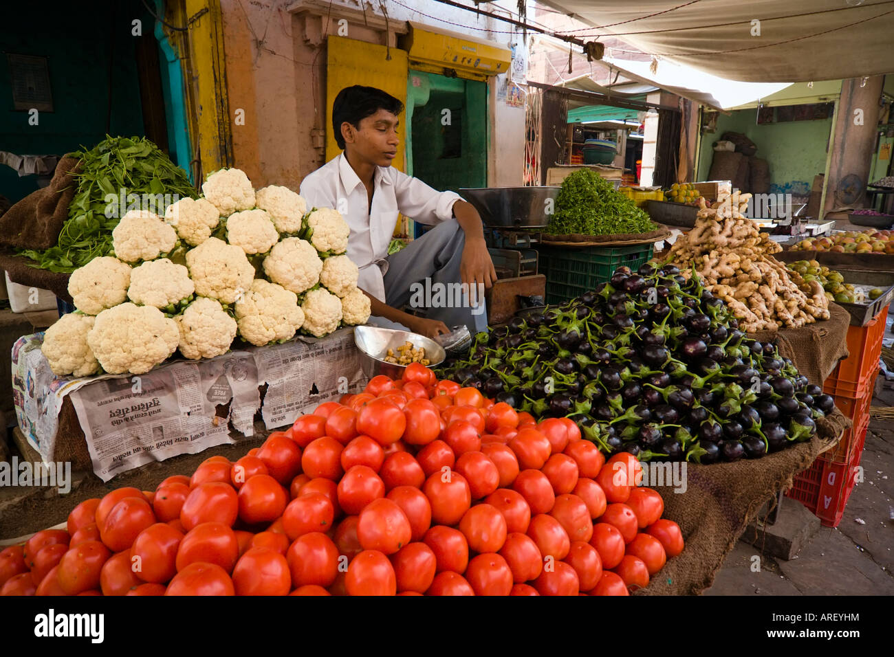 Young man selling vegetables at the market - Jodhpur, Rajasthan, India ...