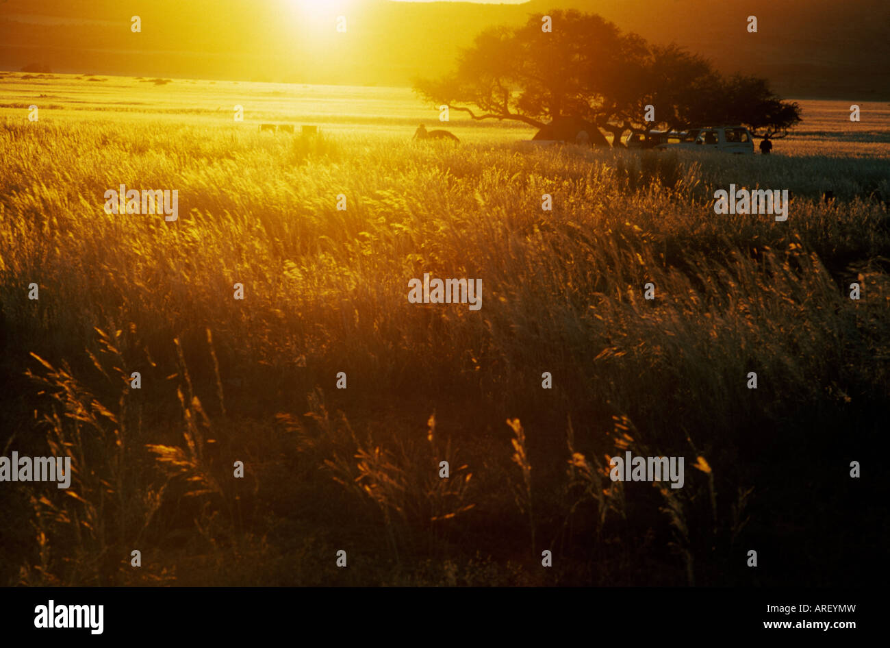 Camp in evening light, Namibia Stock Photo - Alamy