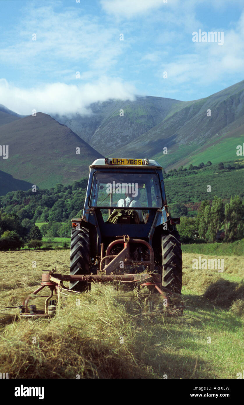 Farmer rowing up hay in preperation for baling Keswick Cumbria Stock ...
