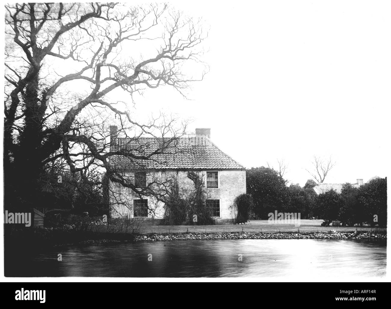 Broad tree Black and White Stock Photos & Images - Alamy