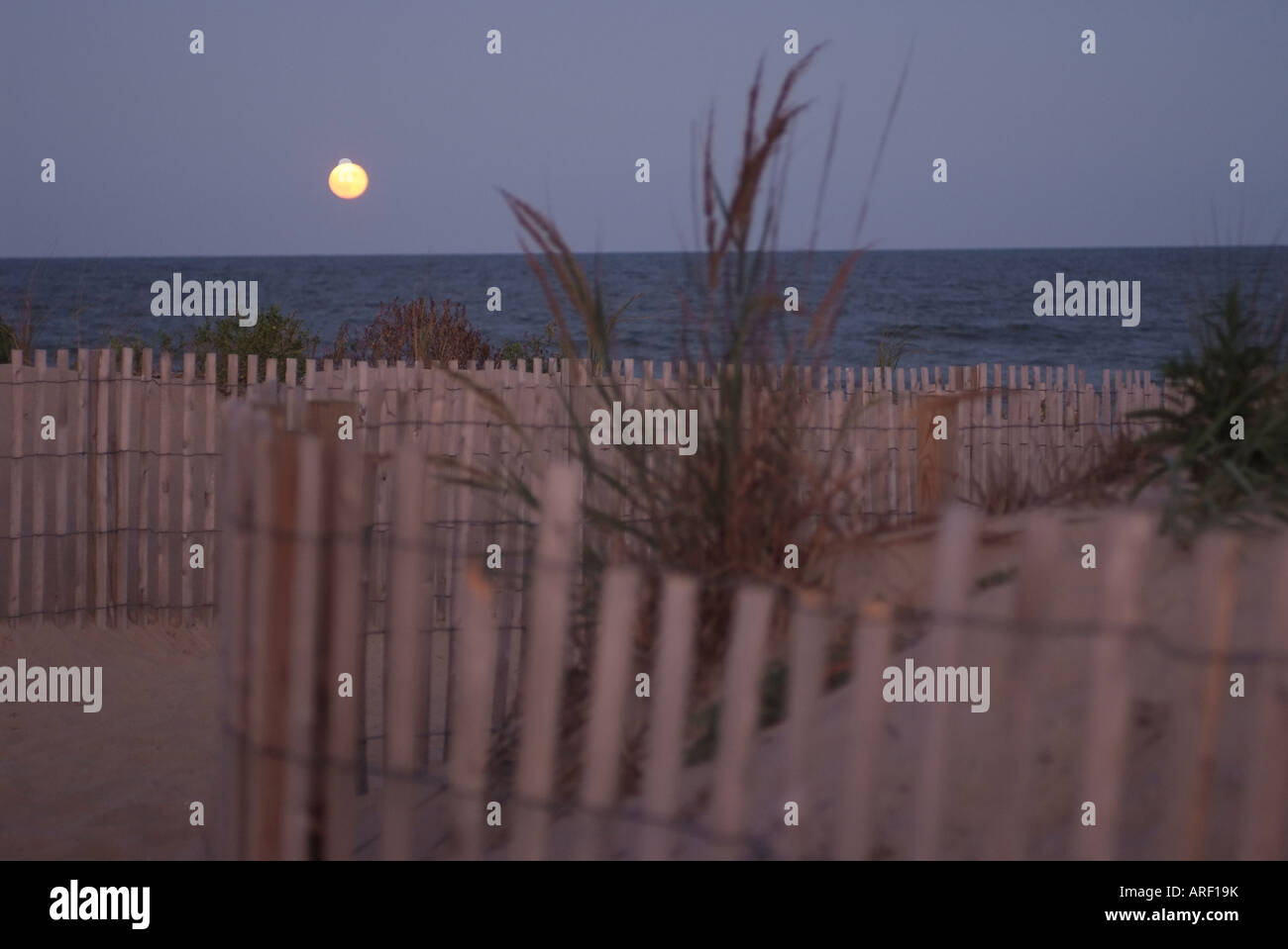 USA Maryland Ocean City Atlantic beach Full moon rise over the sea at ...