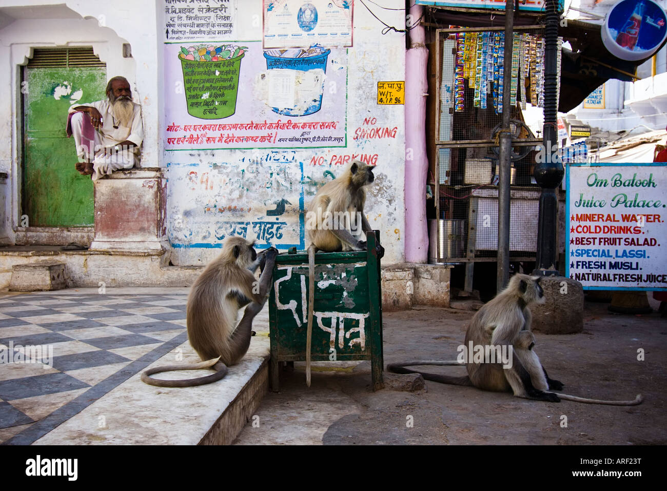 Four monkeys hi-res stock photography and images - Alamy