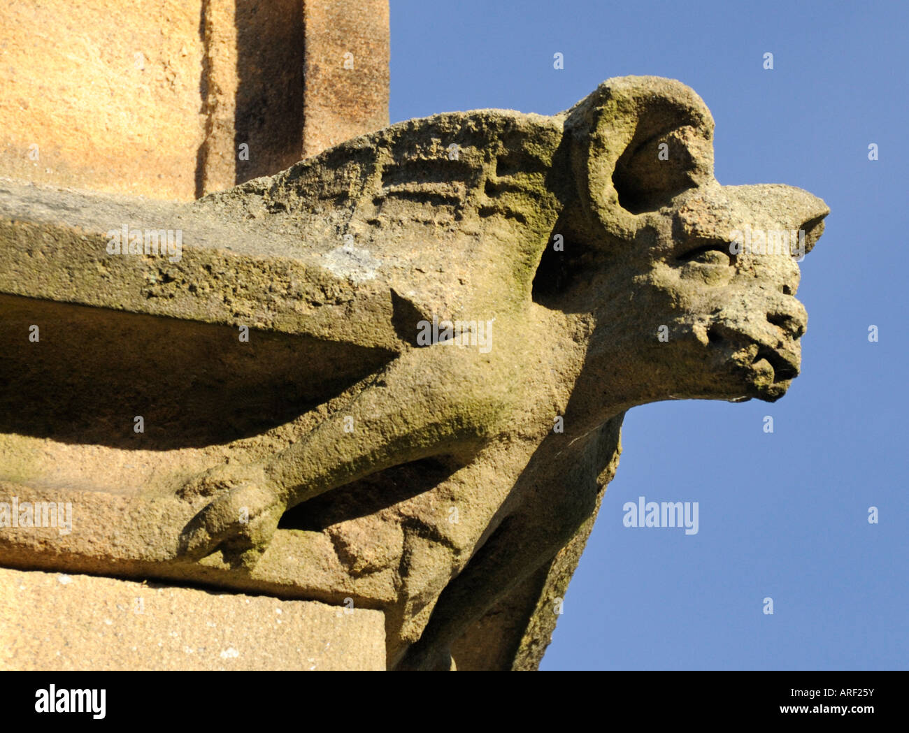Bat gargoyle. Church of Saint Michael, Beetham, Cumbria, England ...