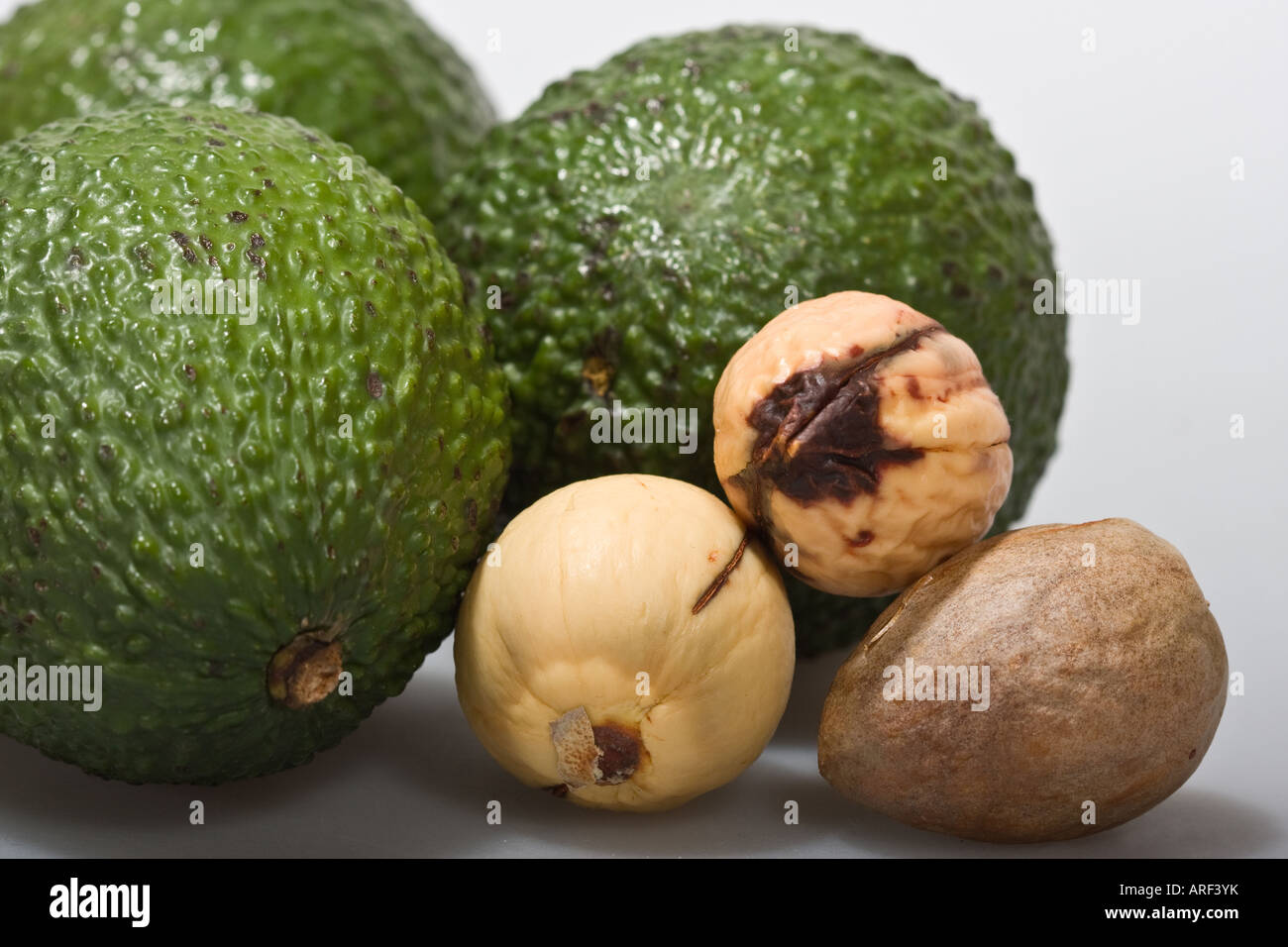 Aguacate hi res hi-res stock photography and images - Alamy
