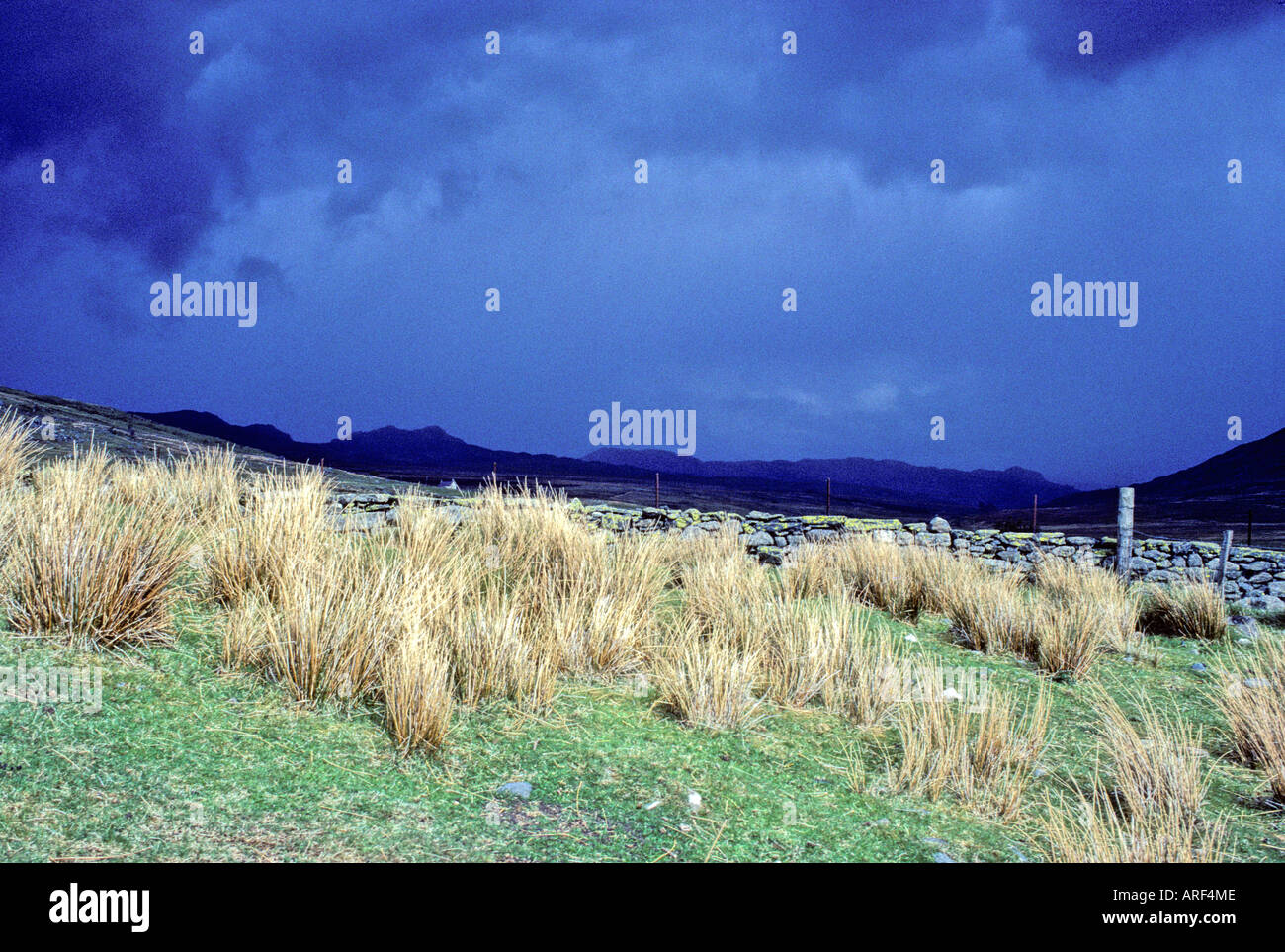 Scrubland and Threatening Sky Stock Photo - Alamy