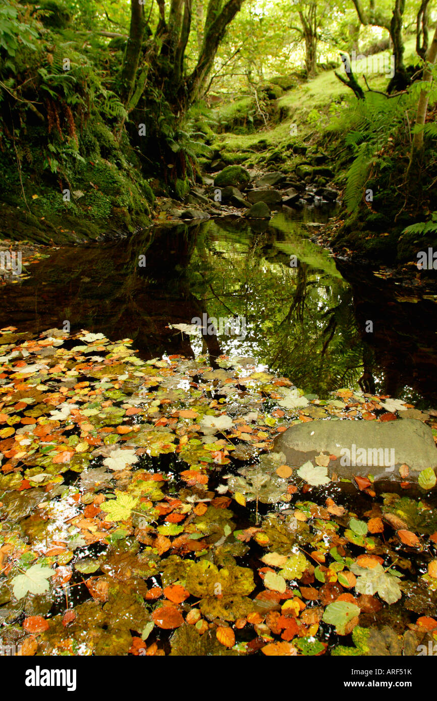 Stream wales hi-res stock photography and images - Alamy