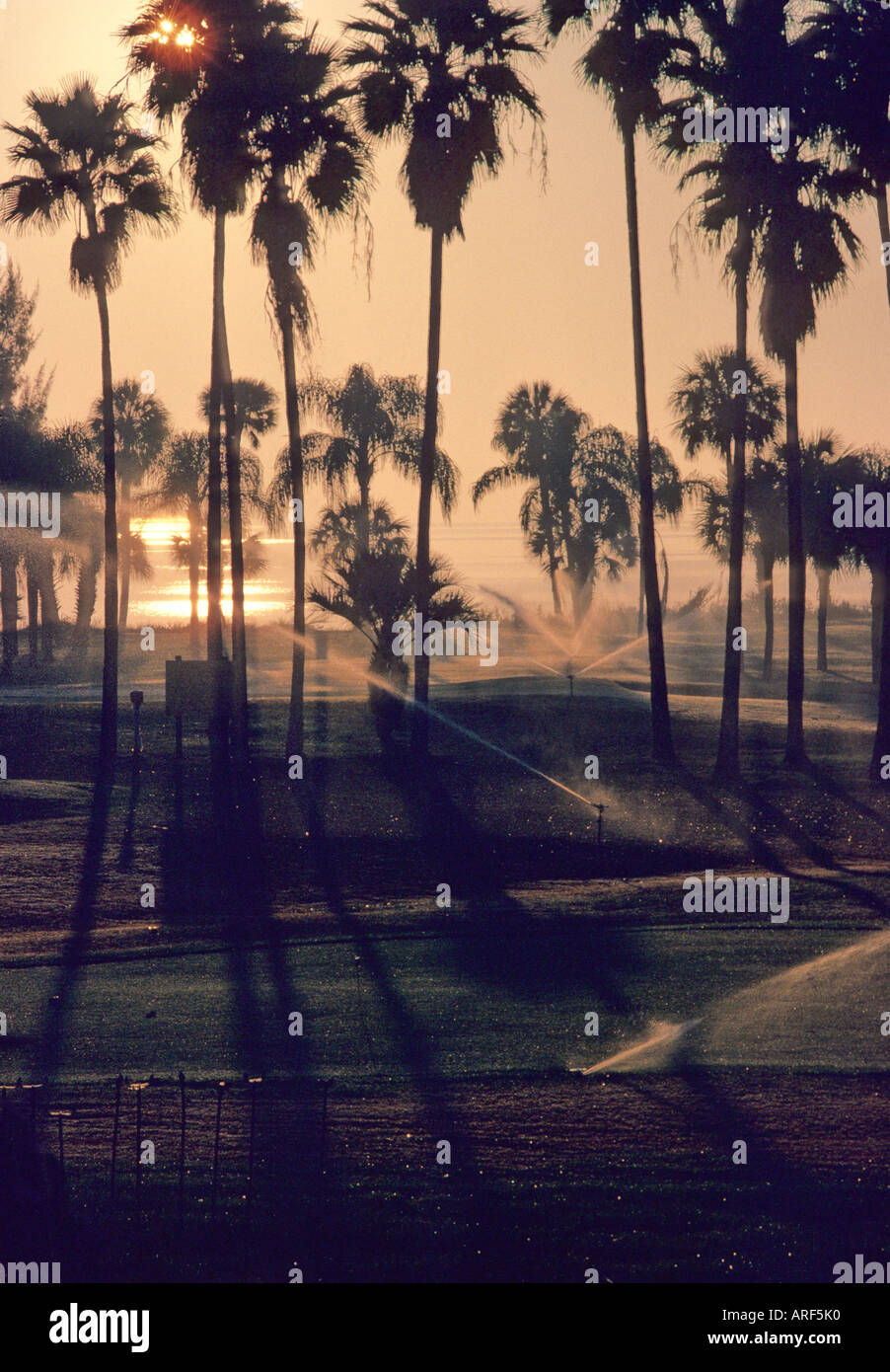 Sunrise, Clearwater, Florida , USA Stock Photo - Alamy