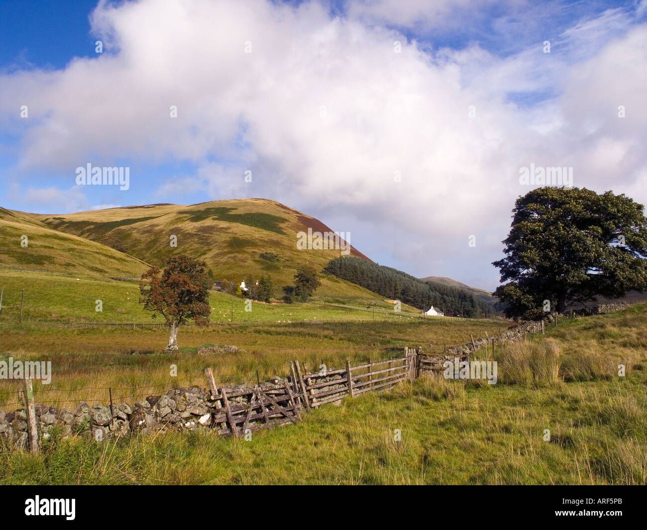 Glendevon hi-res stock photography and images - Alamy