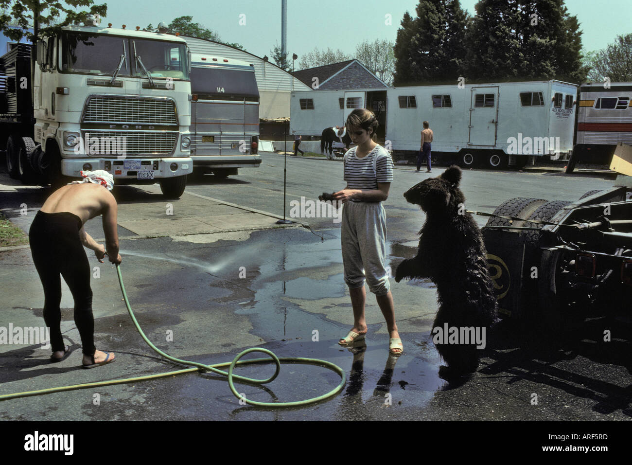 Circus bear trainer hi-res stock photography and images - Alamy