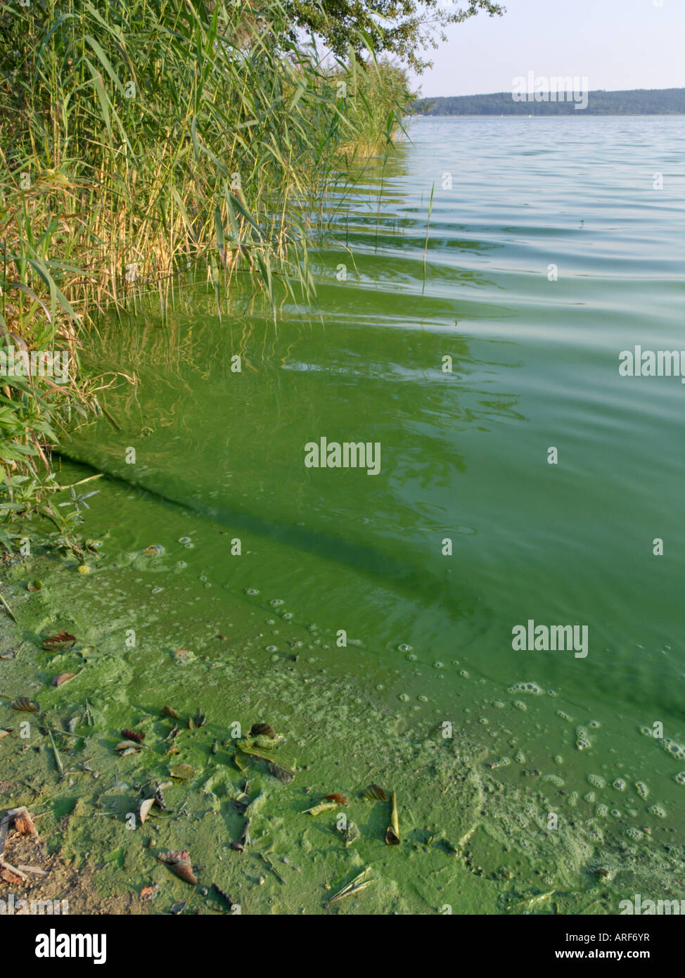 Alga lakes hi-res stock photography and images - Alamy