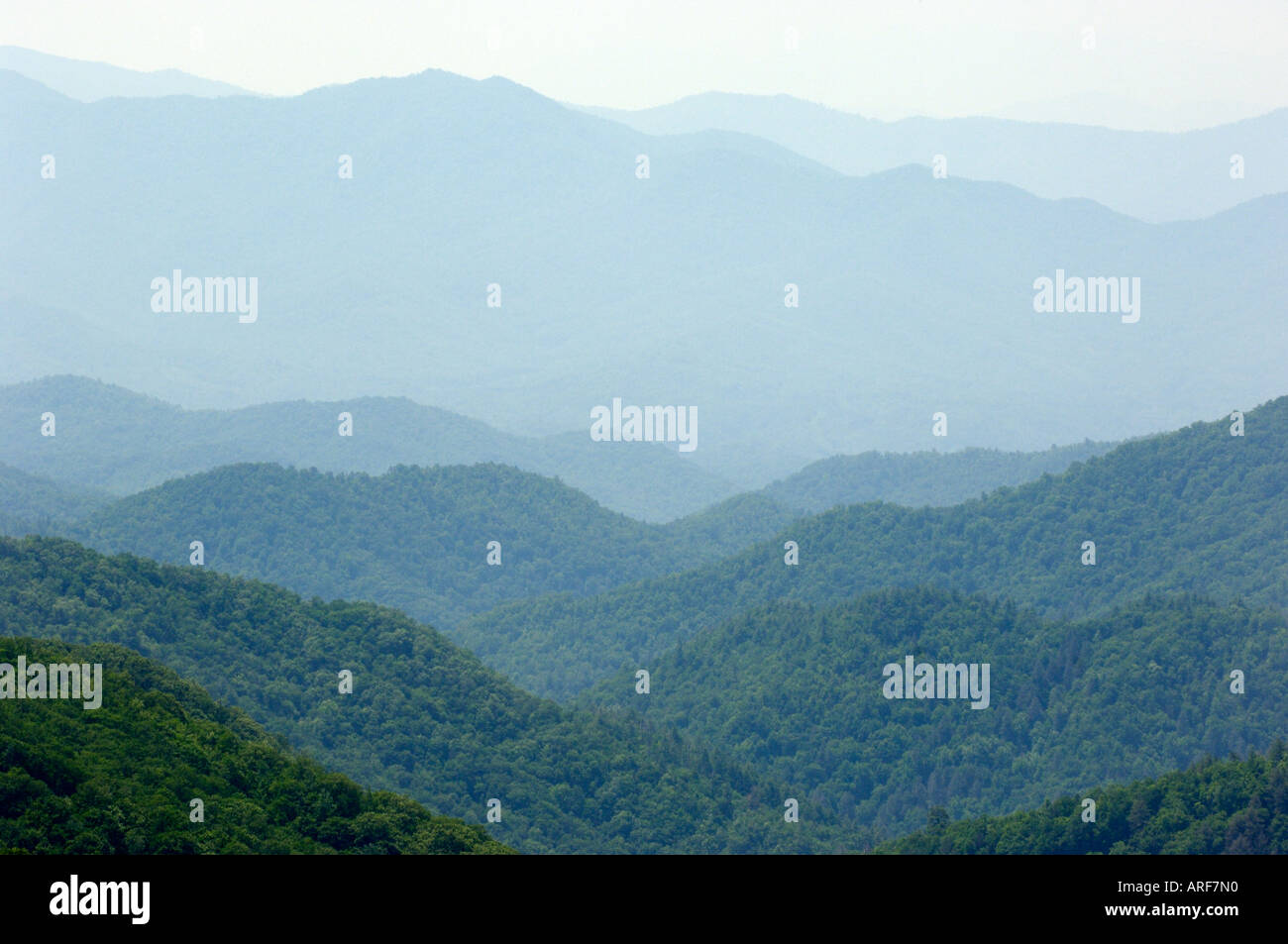 Scenic nature environment overlap cloud grey gray green scenic ...