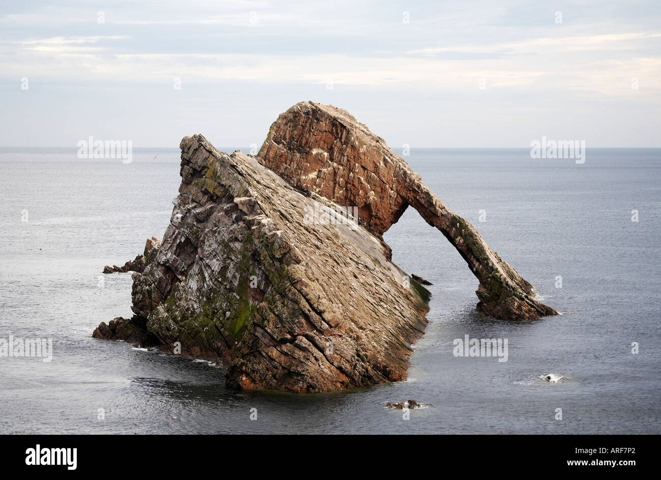 Bow fiddle hi-res stock photography and images - Alamy