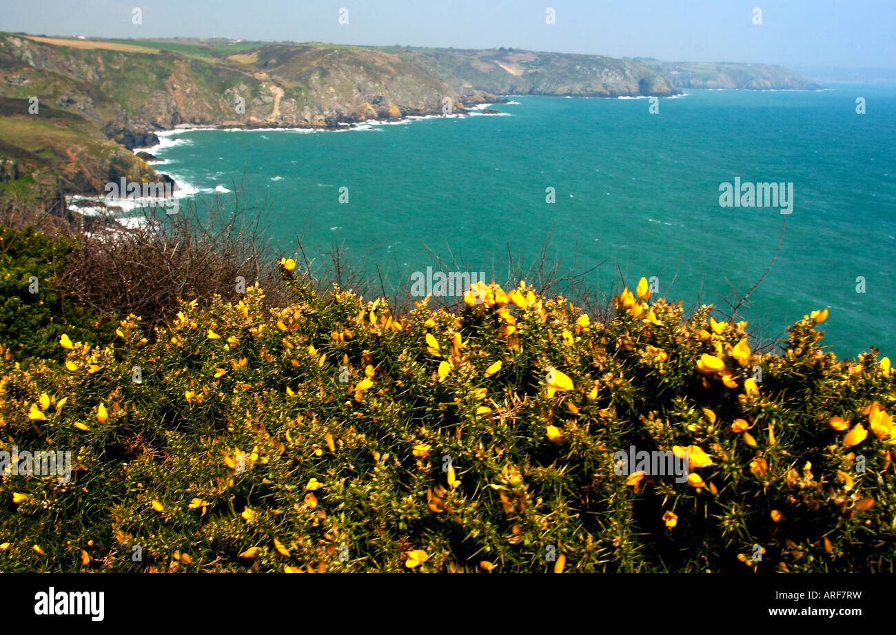 Europe England Cornwall view of ocean from the coastal path Stock Photo ...
