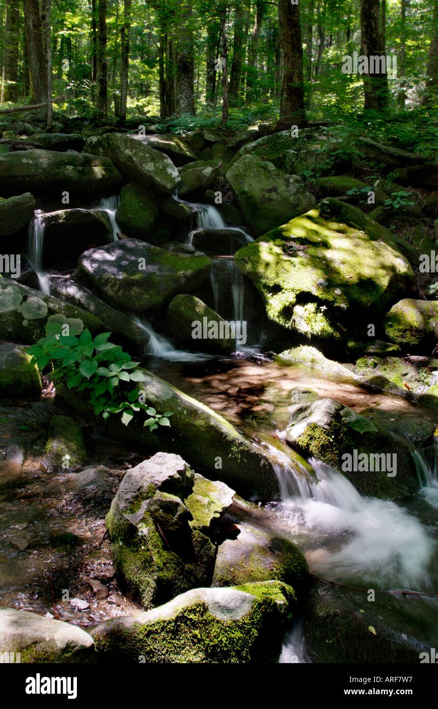 Water dripping down rocks hi-res stock photography and images - Alamy