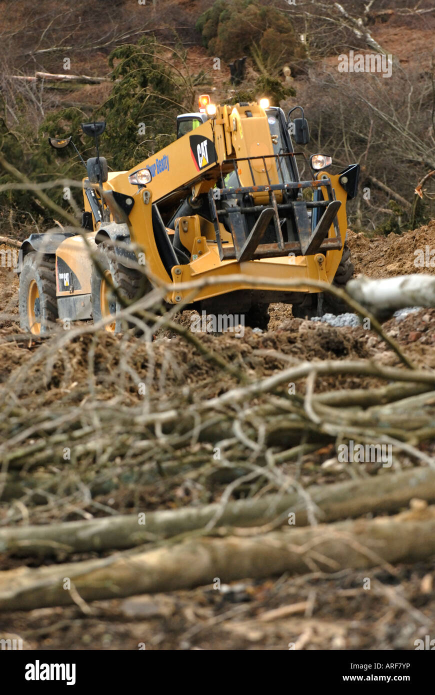 Cutting down trees digger hi-res stock photography and images - Alamy