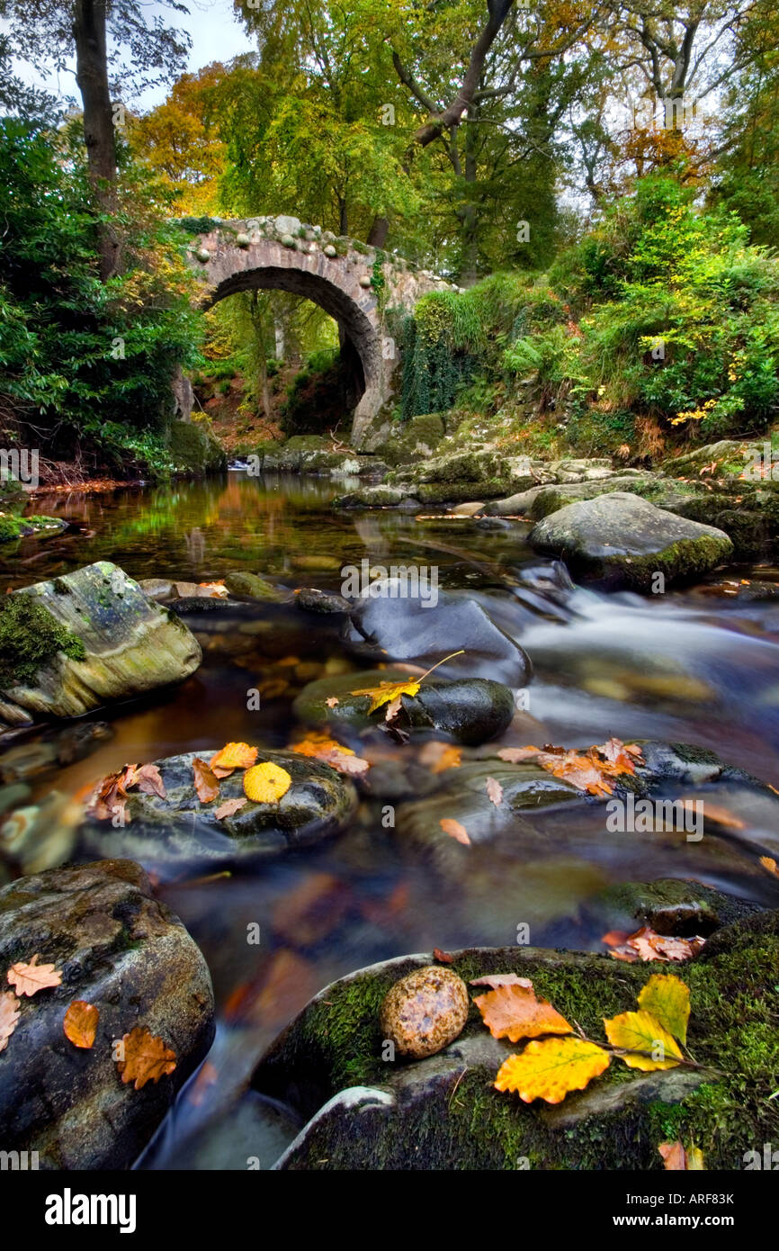 Foley’s bridge hi-res stock photography and images - Alamy