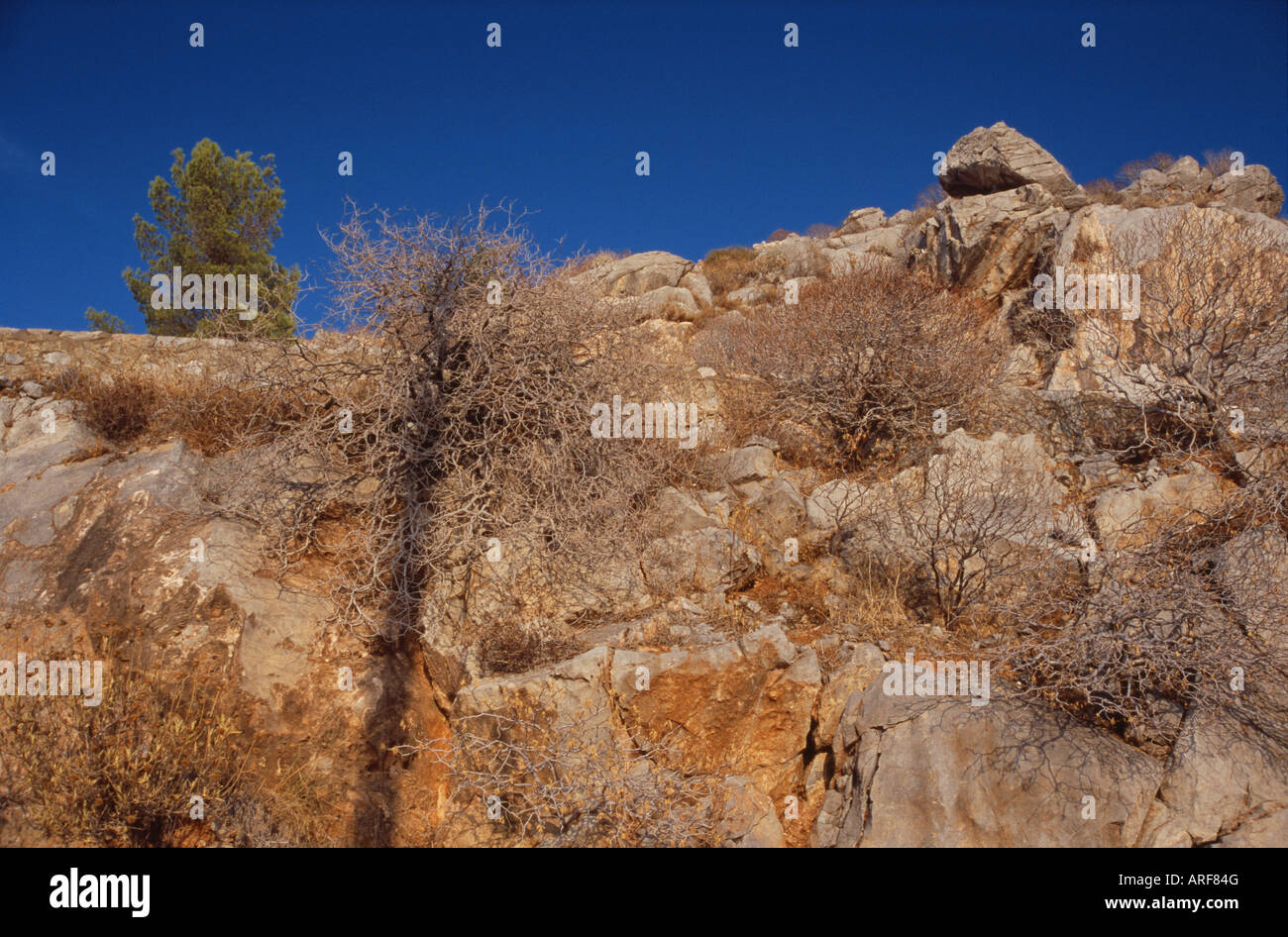 Natural landscape of Hydra island, Greece Stock Photo - Alamy